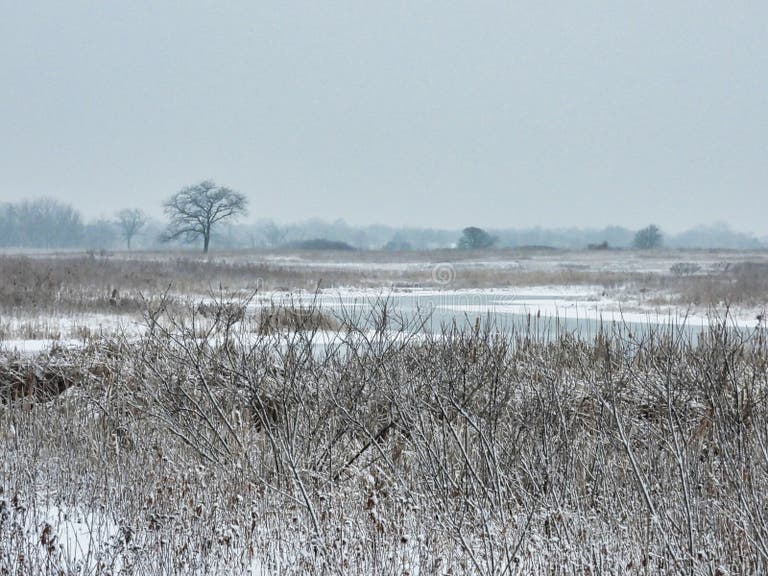 Frozen Pond in the Prairie stock photo. Image of season - 286823792