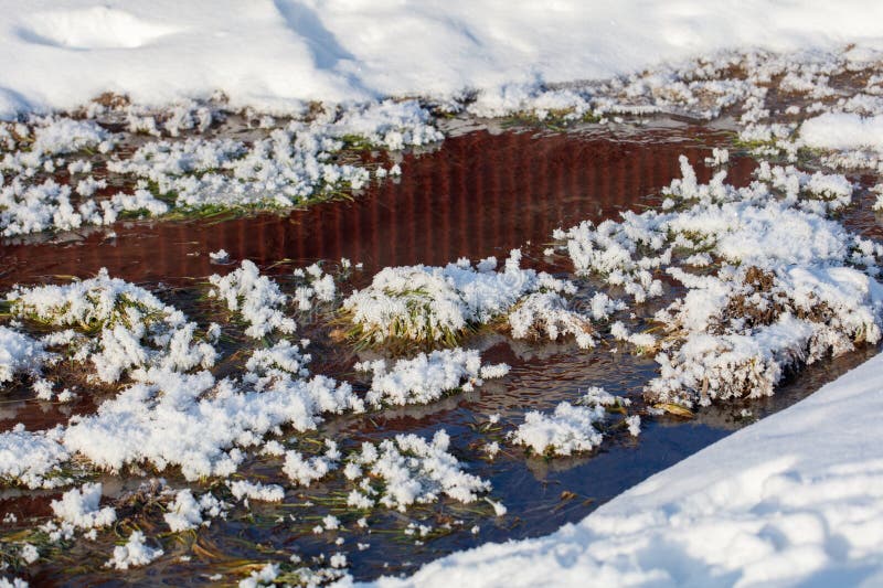 A Frozen Pond with Snow Covering the Ground Stock Photo - Image of snow ...