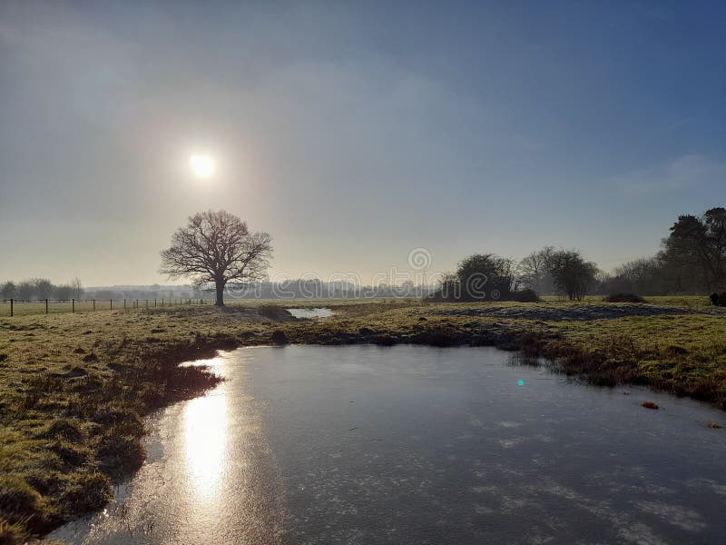 Frozen Pond on a Sunny Winter Morning Stock Image - Image of sunlight ...