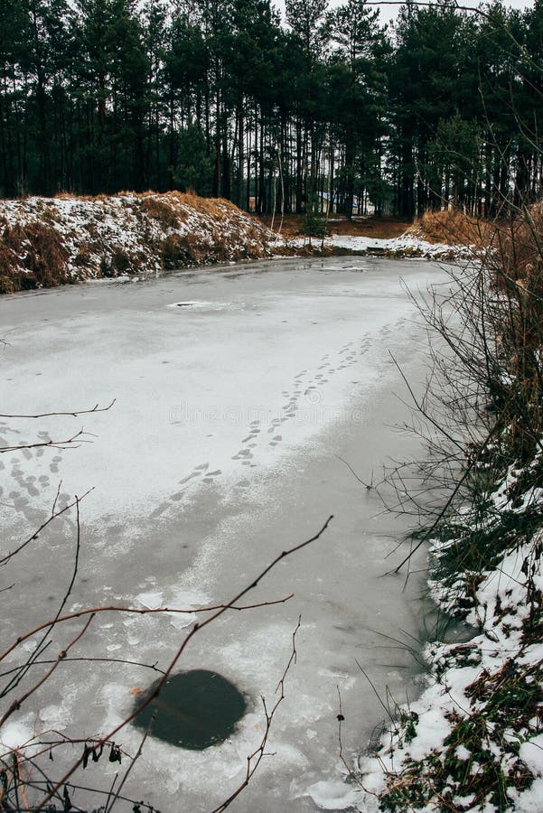 Frozen pond in winter park stock photo. Image of frost - 109083338