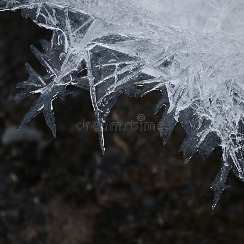 Frozen Pool of Water in Winter. Ice Nature - Macro Shot of Frozen Water ...