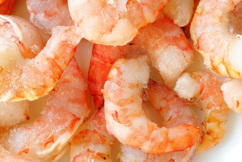 Frozen prawns stock photo. Image of pink, eating, crustacean - 5598106