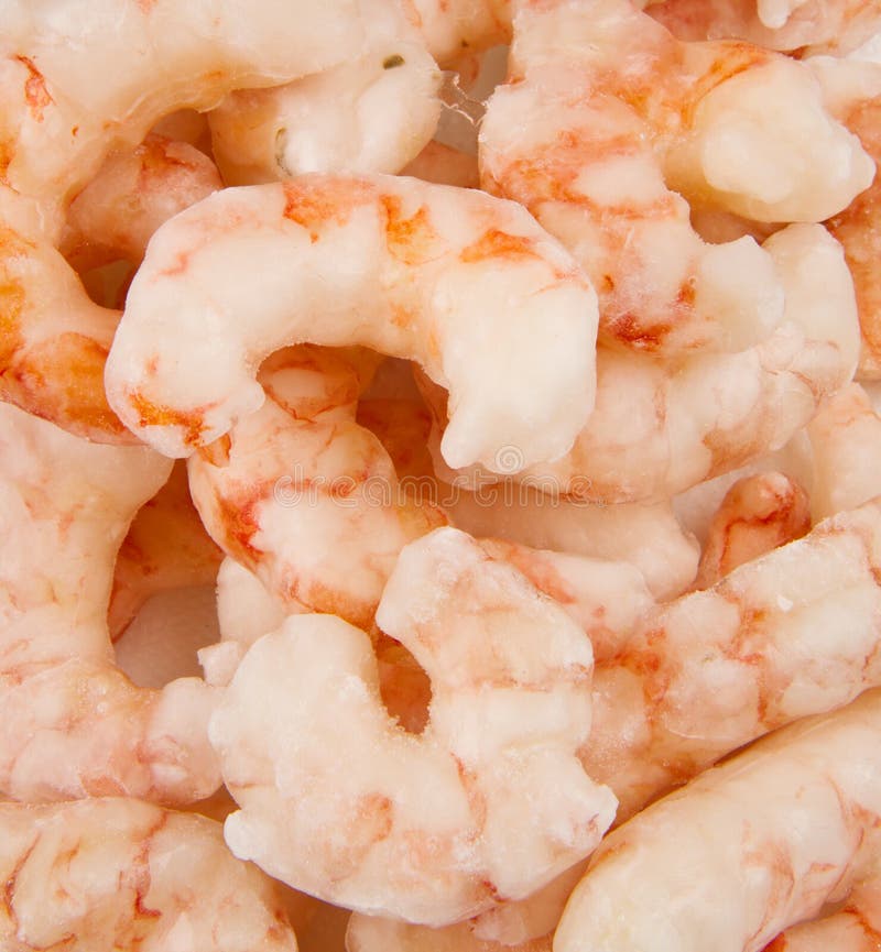 Frozen prawns stock photo. Image of isolated, restaurant - 80765894