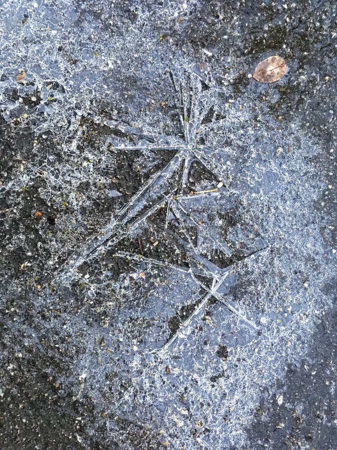 Frozen Puddle with Filigree Ice Crystals on a Street Stock Image ...