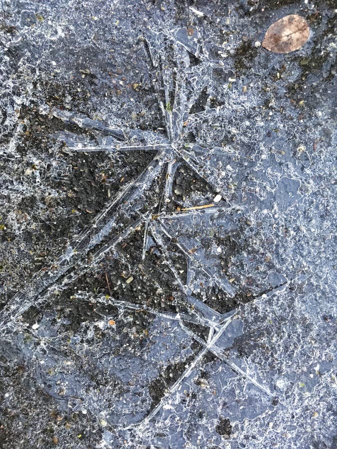 Frozen Puddle with Filigree Ice Crystals on a Street Stock Photo ...