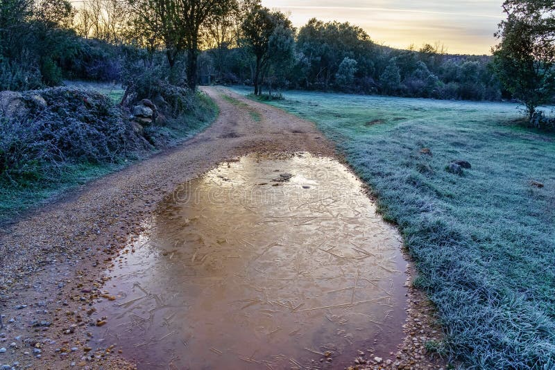 Frozen Puddle on the Dirt Road at Dawn on a Very Cold Winter Day. Stock ...