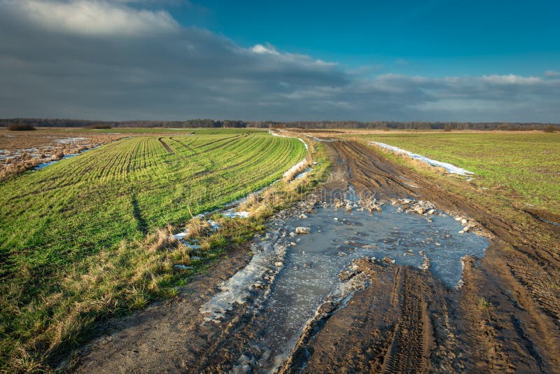 A Frozen Puddle on a Dirt Road through Green Fields, Evening Clouds on ...
