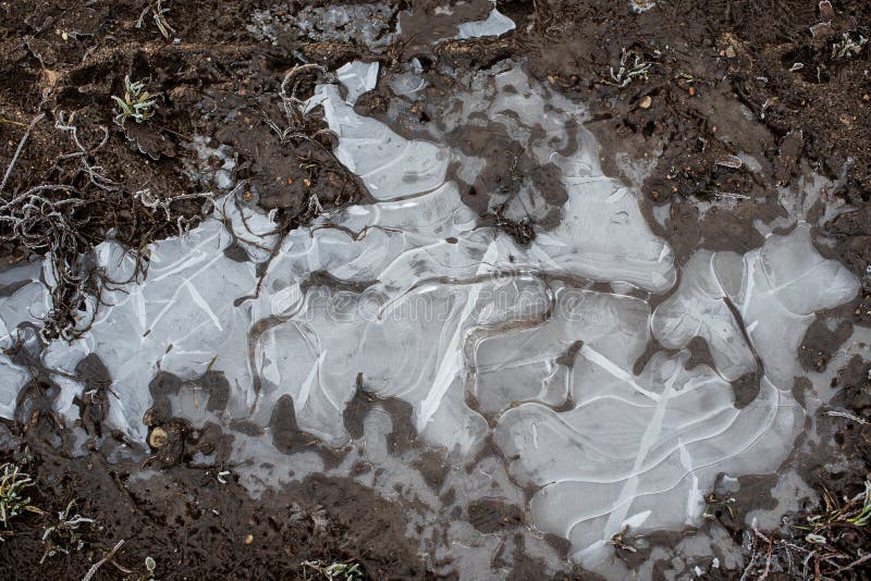 Frozen Puddle and Frosted Mud and Grass on a Cold Autumn Morning Stock ...