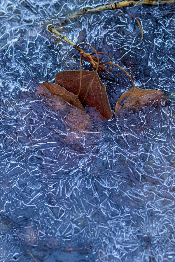 A Frozen Puddle. Nature Background. Stock Image - Image of blue, cool ...