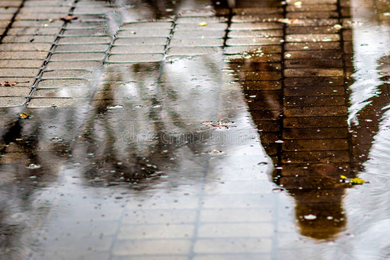 A Frozen Puddle and a Reflection of Man in Ice - Image Stock Photo ...