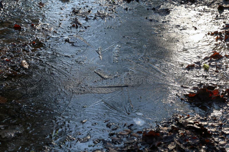 Icy Puddle on a Wintery Day with Stones on a Trail Stock Photo - Image ...