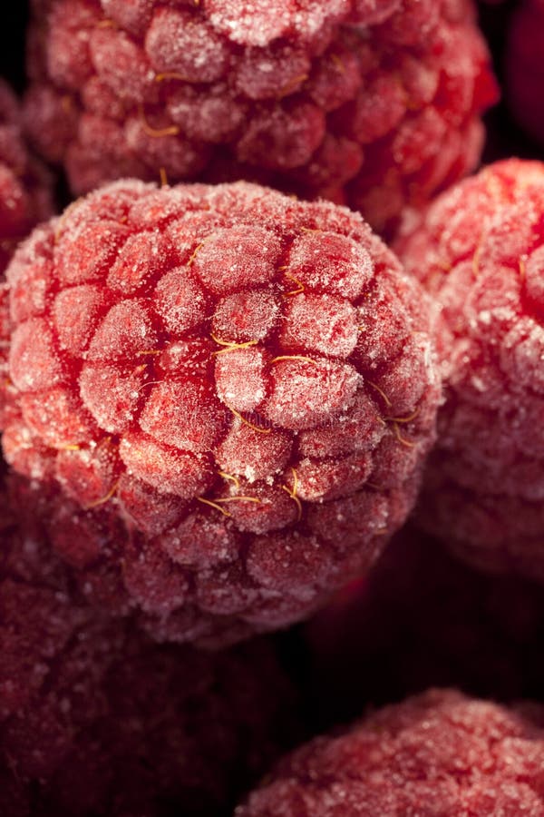 Frozen raspberries stock photo. Image of raspberry, macro - 22548054