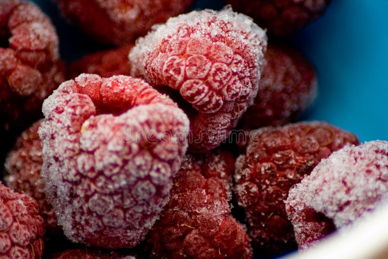 Frozen raspberries stock photo. Image of cold, daylight - 6161084