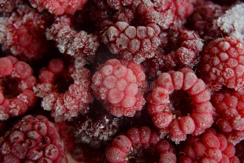 Frozen Raspberries Covered with Ice Stock Photo - Image of greetings ...