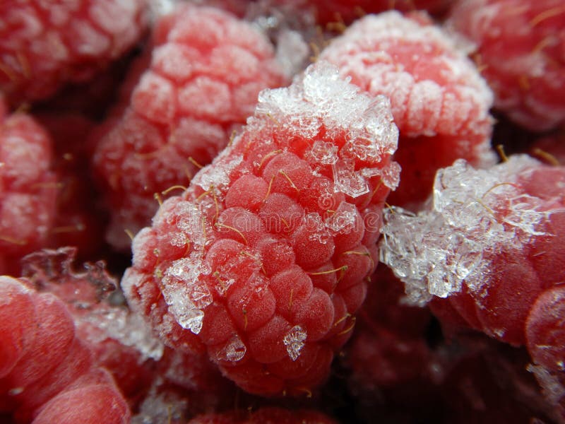 Frozen Raspberries, Red Berry Fruits Stock Photo - Image of freshness ...