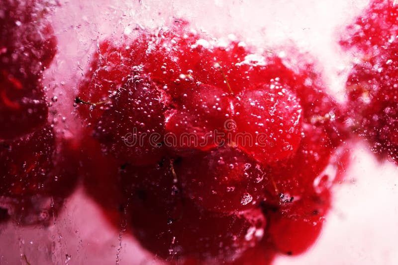 Frozen raspberry. stock image. Image of food, macro, raspberry - 20299447