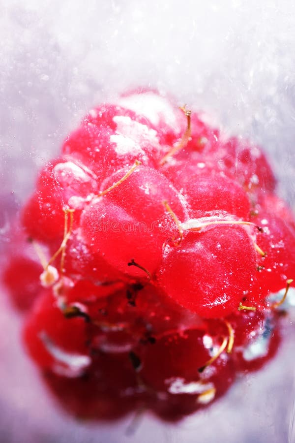 Frozen raspberry. stock photo. Image of cold, close, fruit - 20299448