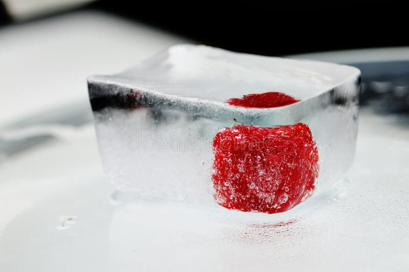 Frozen raspberry. stock photo. Image of cold, raspberry - 27588850