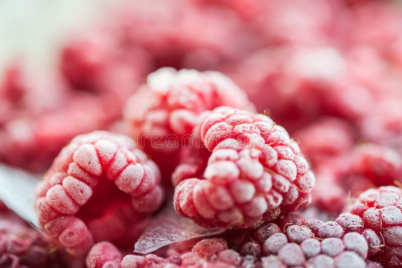 Frozen raspberry berries stock photo. Image of purple - 49815368