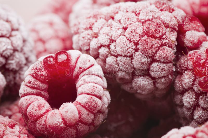 Frozen raspberry detail stock photo. Image of closeup - 272376218
