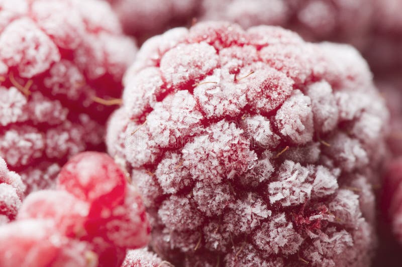 Frozen raspberry stock image. Image of healthy, thaw - 52042611