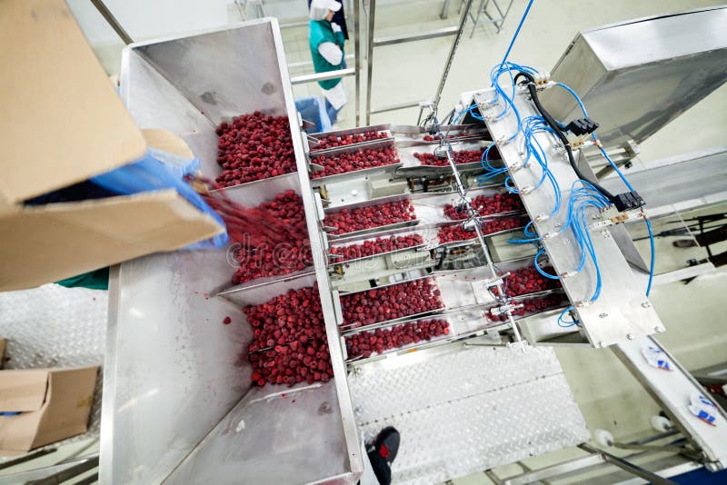 Frozen Raspberry Processing Business Editorial Photography - Image of freshness, fresh: 47448222