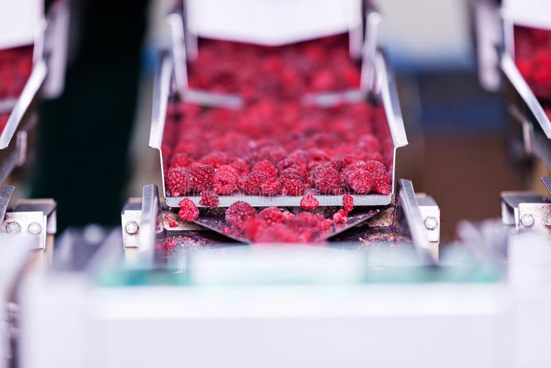 Food packing stock photo. Image of technology, machinery - 48313534