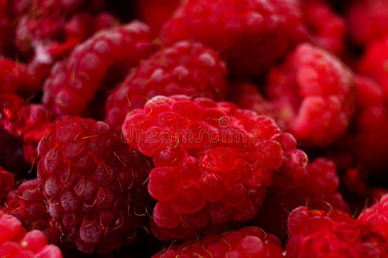 Frozen Raspberry Texture Close Up for Background Stock Photo - Image of ...