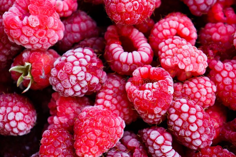 Frozen Raspberry Texture Close Up for Background Stock Image - Image of ...