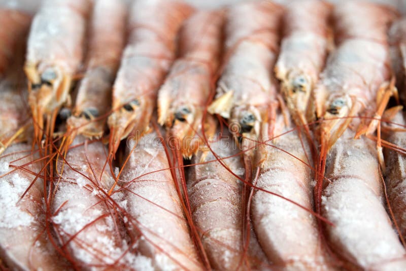 Frozen raw king prawns stock photo. Image of market, seafood - 65804670