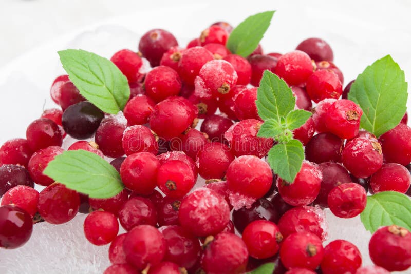 Frozen Red Berries with Fresh Mint Over Ice Stock Image - Image of ...