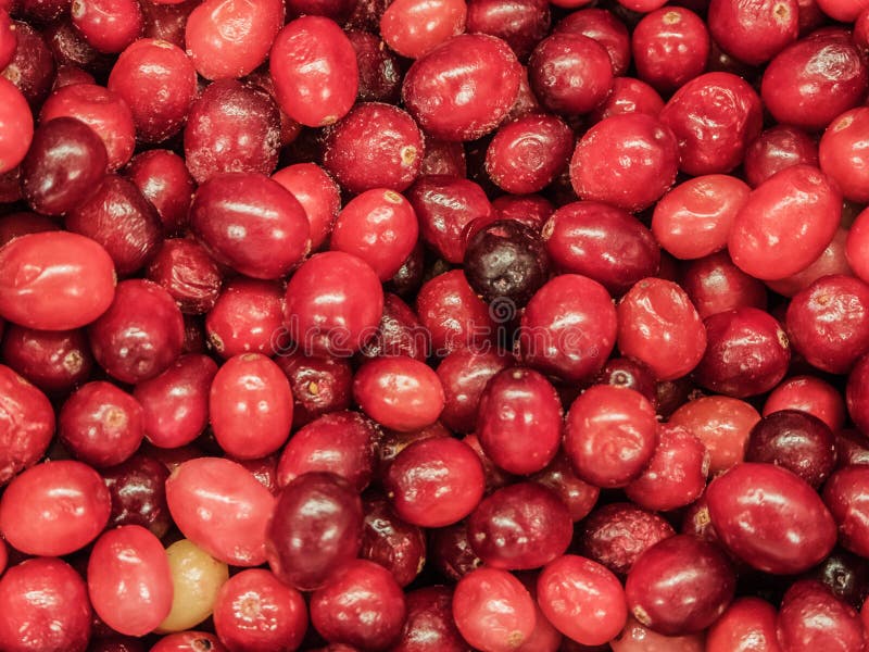 Frozen Red Berries in the Refrigerator in the Store Stock Photo - Image ...