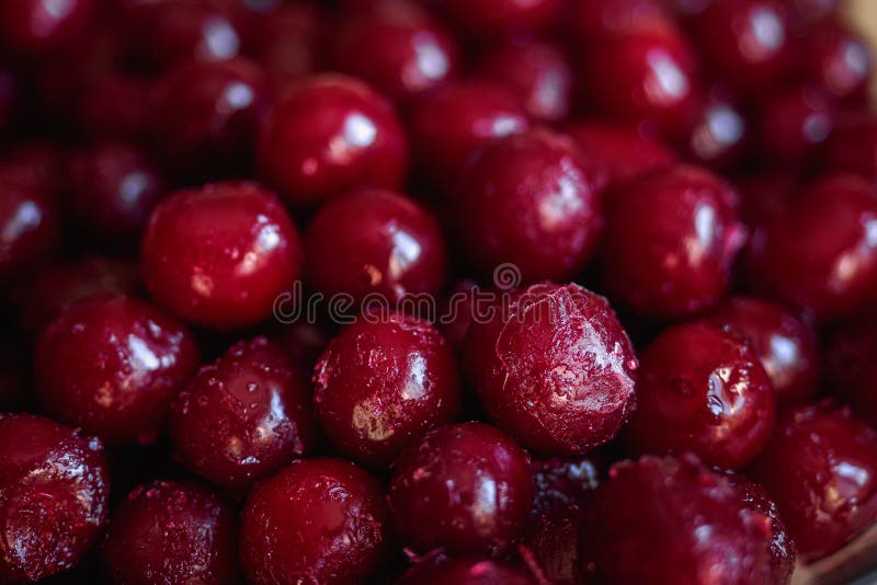 Frozen Red Cherry. Juicy Ripe Berry. View from Top. Background Full ...
