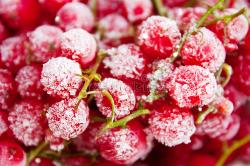 Frozen Red Currant Berries. Stock Photo - Image of ripe, fruit: 34164068