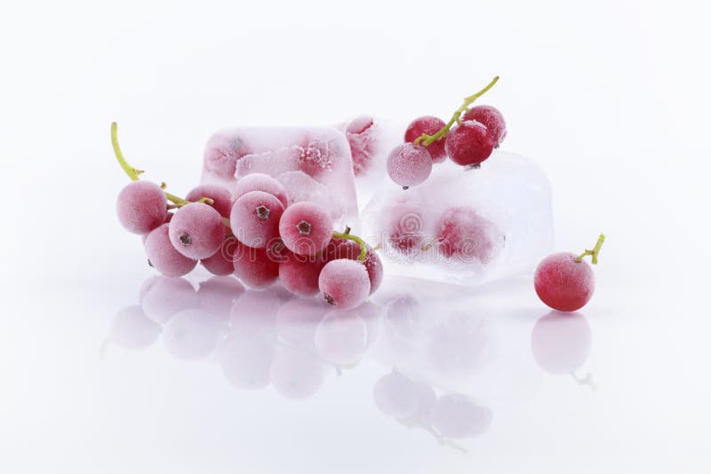Frozen red currant stock image. Image of healthy, liquid - 98217005
