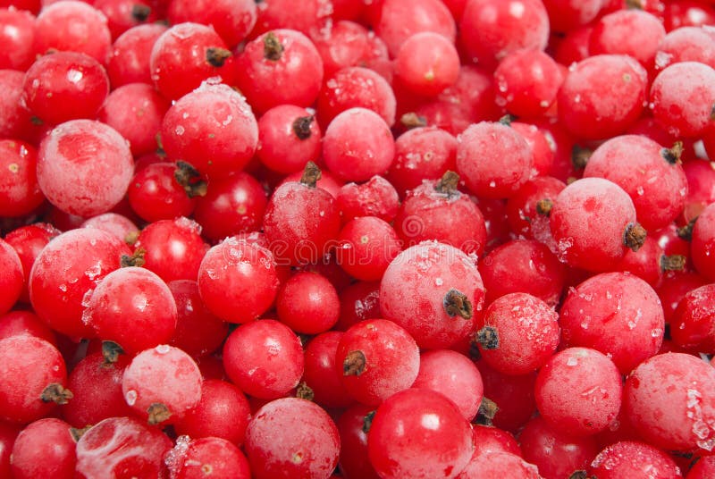 Frozen Red Currant. Close-up Stock Image - Image of berry, meal: 5011851