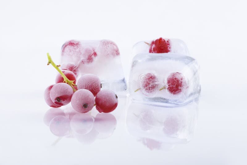 Frozen Red Currant in Ice Cubes Stock Photo - Image of closeup, harvest ...
