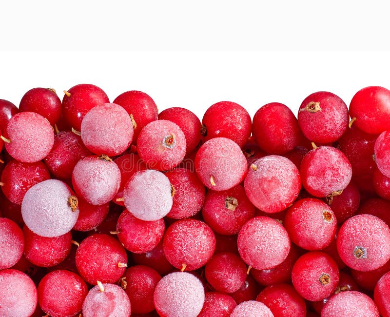 Frozen Red Currants Large Quantities Stock Photos - Free & Royalty-Free ...