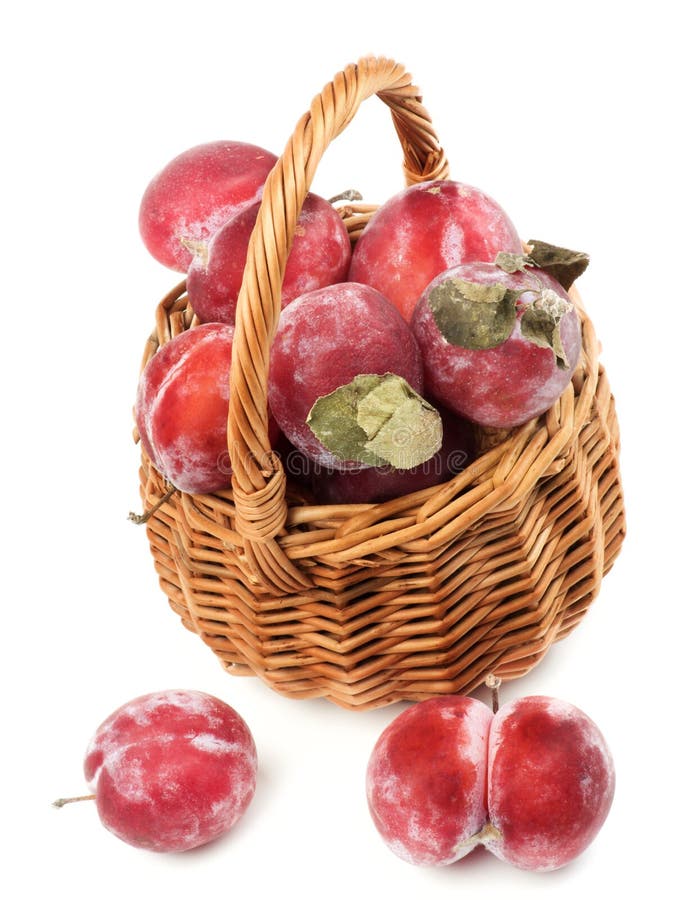 Frozen Red Plums stock image. Image of frozen, brightly - 78308835