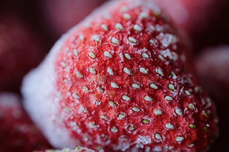 Frozen Red Strawberry for Cooking Stock Photo - Image of view, berry ...