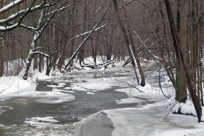Frozen River stock image. Image of trees, season, forest - 55313