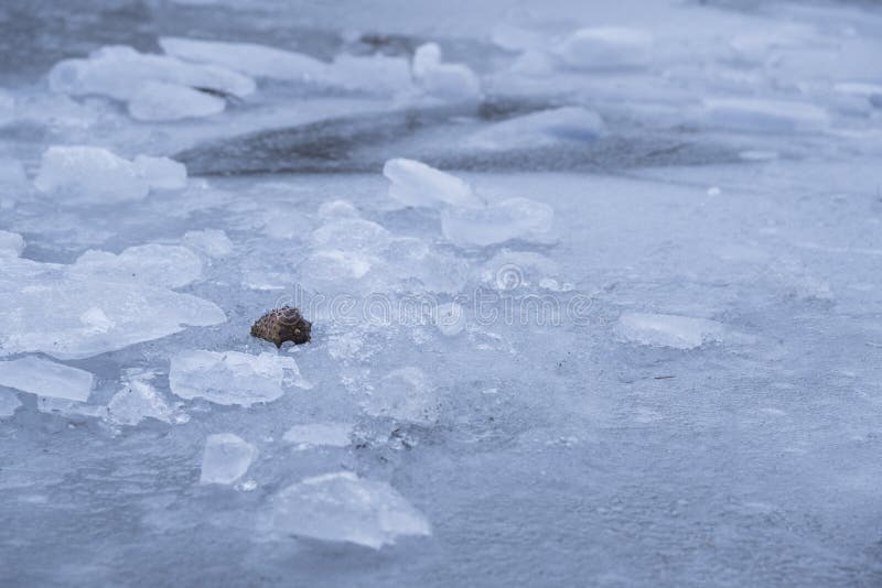 Iced Over Yosemite`s Merced River Stock Image - Image of snowy ...