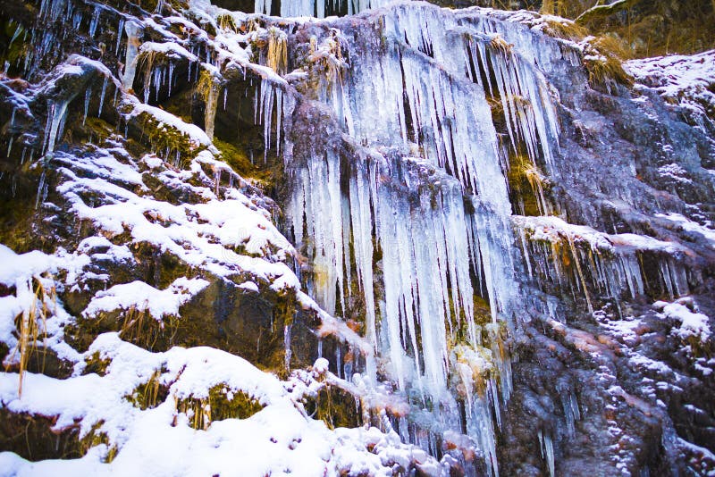 Icicles Inside of the Forest Stock Photo - Image of winter, nature ...