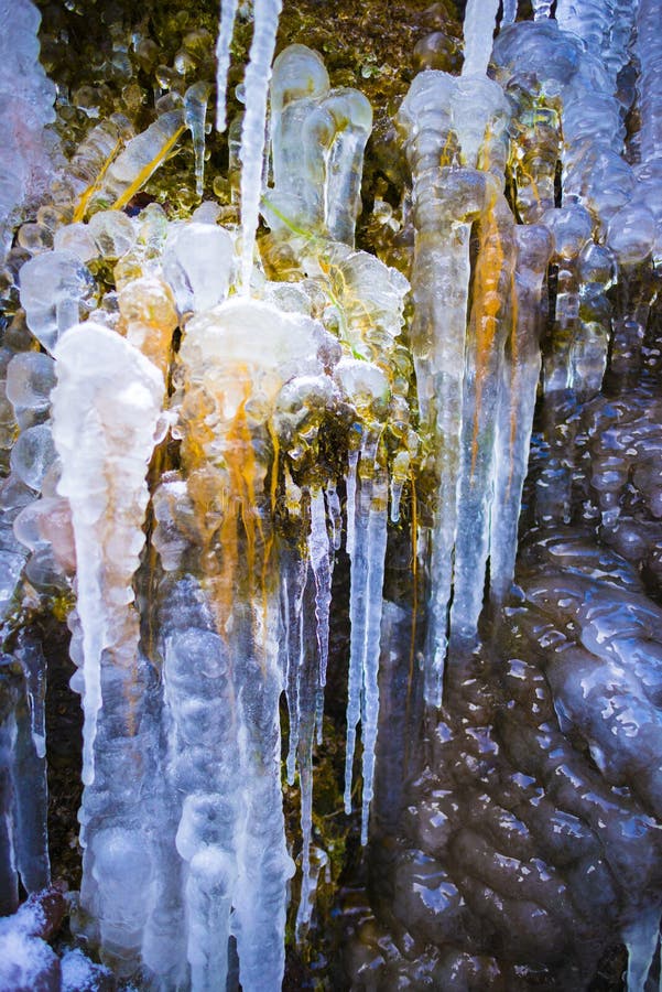 Icicles Inside of the Forest Stock Photo - Image of forest, frosty ...