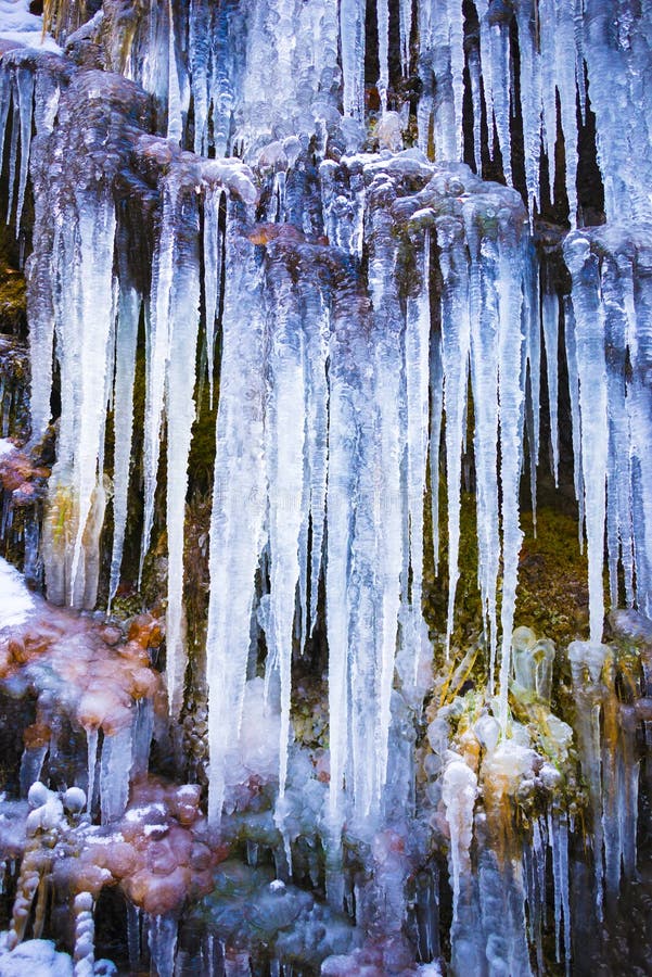 Icicles Inside of the Forest Stock Image - Image of season, water ...