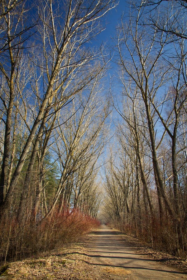 Frozen river in spring stock image. Image of nature, quiet - 40353967