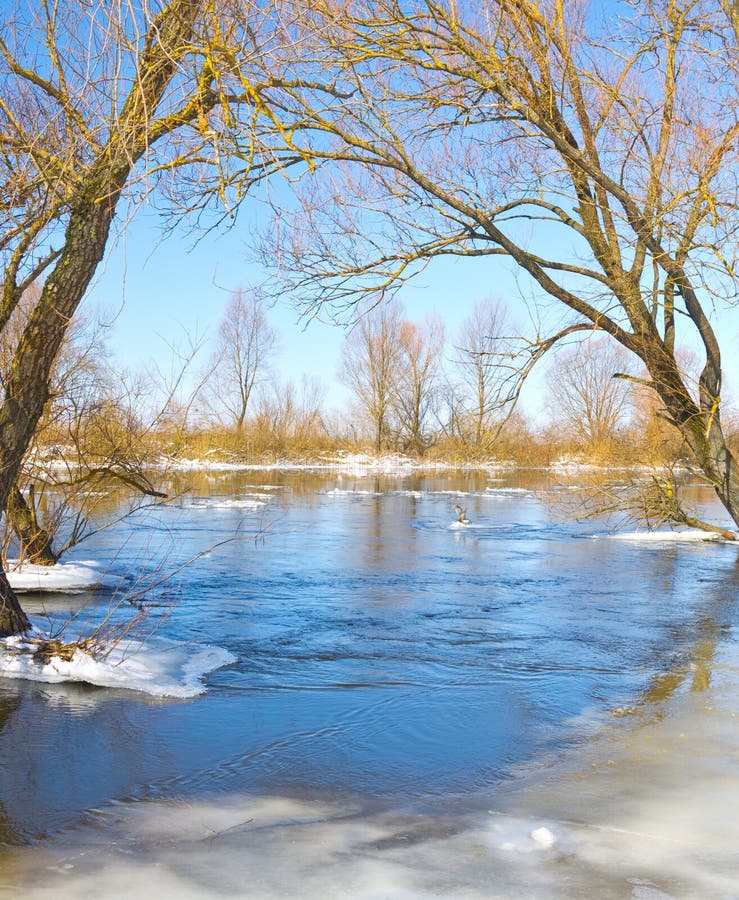 Frozen river stock image. Image of season, forest, nature - 30254765