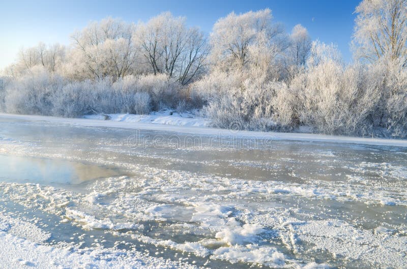 Frozen river stock image. Image of park, nature, frost - 37222041