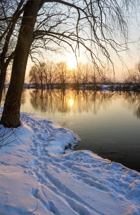 Frozen River Danube in Novi Sad, Serbia Stock Image - Image of danube, icicle: 275846007