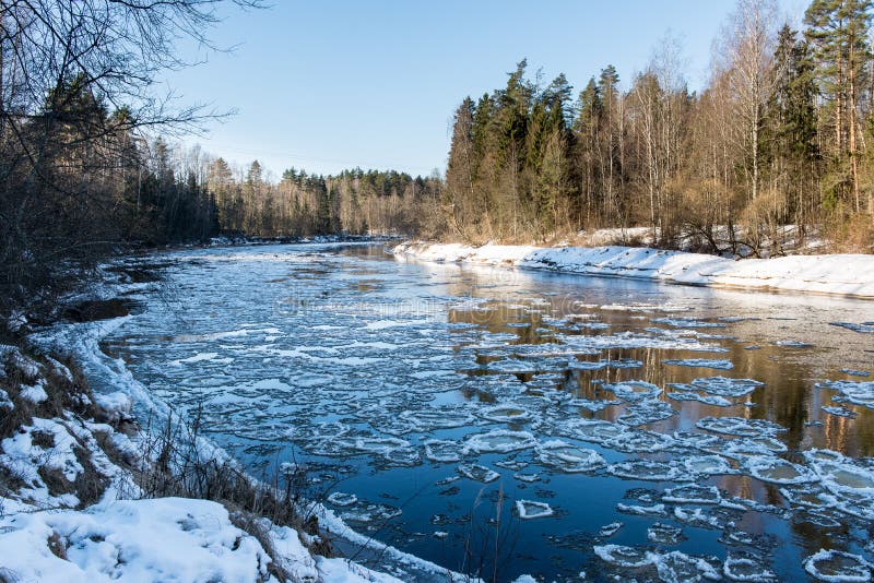 Frozen river in winter stock image. Image of branch, autumn - 50874151
